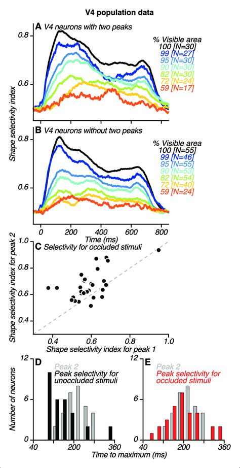 Dynamics Of Neuronal Shape Selectivity In V4 A B Time Course Of Download Scientific Diagram