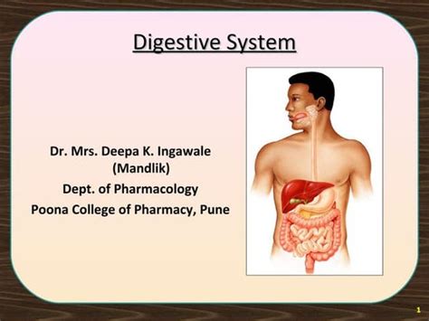 Digestive System Powerpoint Pptx Food And Drink