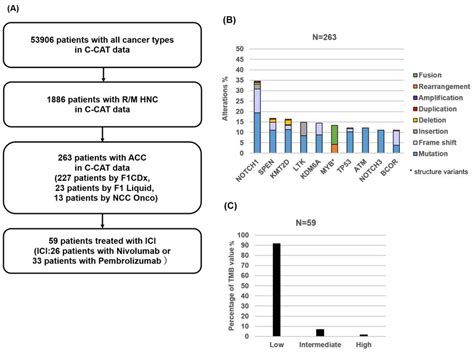 The Scheme Of Total Population And Genetic Information In Acc Patients
