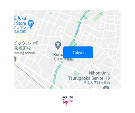 React Native Maps Scaler Topics