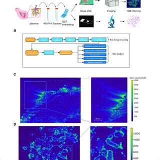The Schematic Diagram Of The Experimental Data Analysis Workflow And Download Scientific