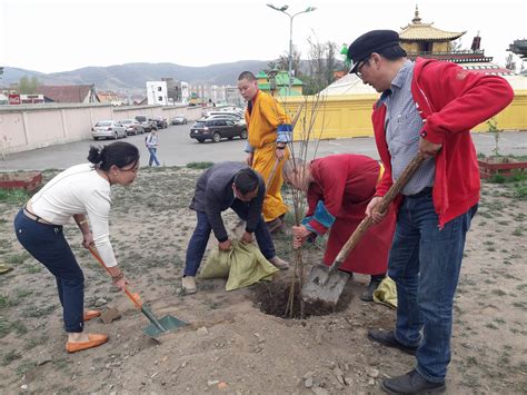 ГАНДАНТЭГЧЭНЛИН ХИЙДЭД МОД ТАРИЛАА МБОИЗ