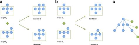 Grasping Frequent Subgraph Mining For Bioinformatics Applications Biodata Mining Full Text