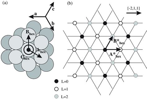 a surface 111 where the lattice vectors are drawn b schematic