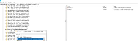 The Application Specific Permission Settings Do Not Grant Local Activation Permission For The