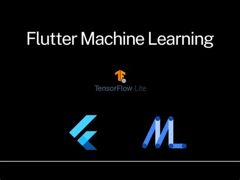 Complete Flutter Application Using Ml Models With Live Camera Footage