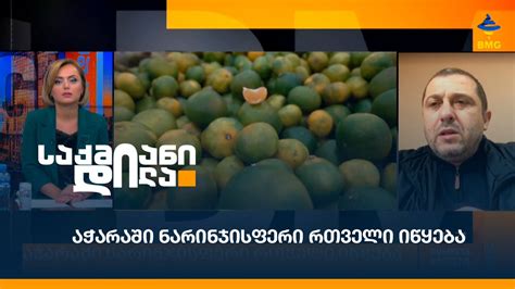 აჭარაში ნარინჯისფერი რთველი იწყება Youtube