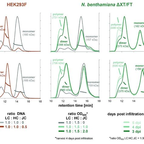 Factors Contributing To Dimer And Oligomer Formation Of Iga Overlays