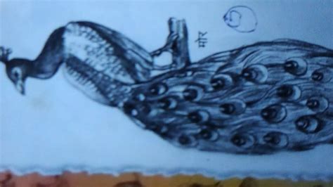Mor Ka Chitra Kaise Banaen How To Draw Peacock Mor Ka Chitra Kaise Banaye Step By Step Youtube