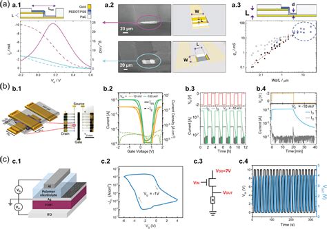 Advanced Neuromorphic Applications Enabled By Synaptic Ion‐gating Vertical Transistors Merces
