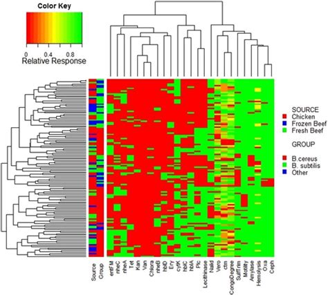 heatmap of individual isolates showing hierarchical clustering of