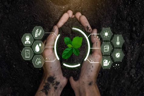 Device Farm Testing Ensuring Real Device 2025