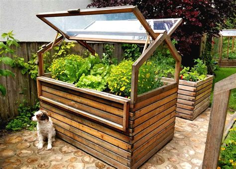 Парники для дачи своими руками 65 фото красивые картинки и Hd фото