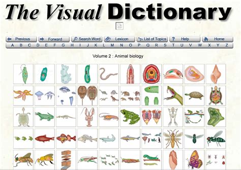 living online a nice web based visual dictionary
