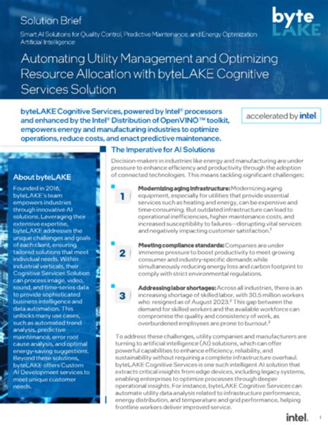 Automating Utility Management And Optimizing Resource Allocation With Bytelake Cognitive