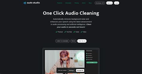 What is Audo AI - Cloudbooklet