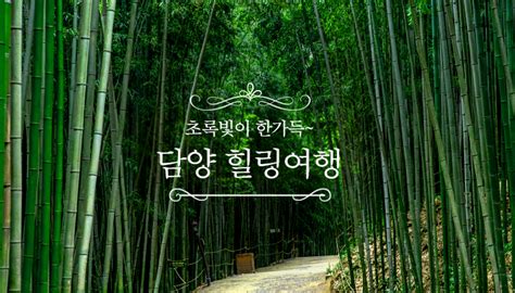 초록빛이 한가득~ 담양 힐링여행