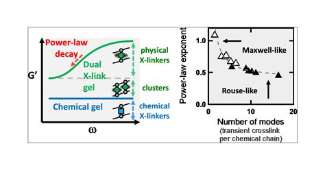 Dynamics Of Hydrogels With A Variable Ratio Of Permanent And Transient Cross Links Constitutive