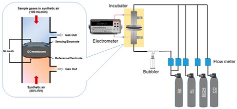 Sensors Free Full Text Electrochemical Detection Of Ethanol In Air Using Graphene Oxide