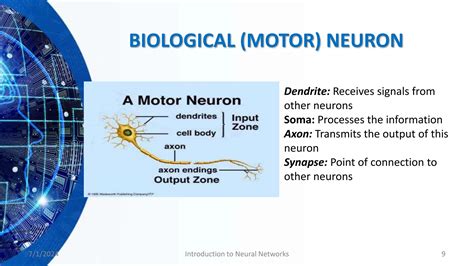 Introduction To Neural Network Module 1pptx Computer Networking