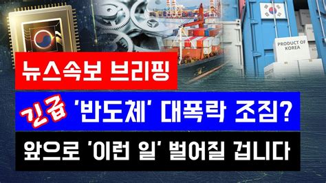 뉴스속보 긴급 반도체 대폭락 조짐앞으로 이런 일 벌어질 겁니다~~ 정완진tv Youtube
