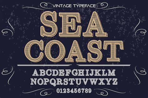Premium Vector Font Handcrafted Vector Script Alphabet Font Vector