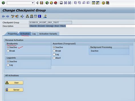 Debugging By Check Point Group Setting Sapcodes