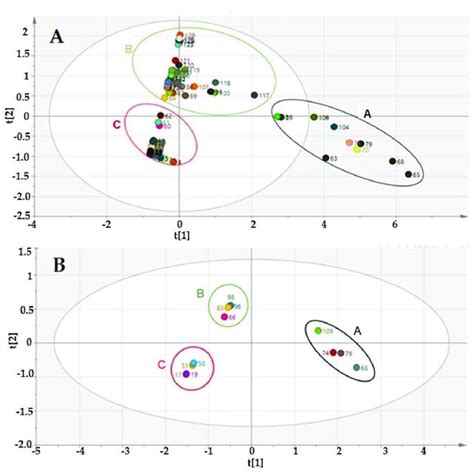 Pca Score Plot Of A Volatiles And Non Volatile Compounds And Their