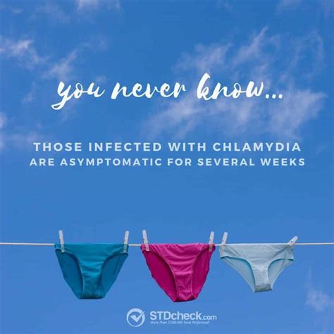 Review Must Read This Before Buying