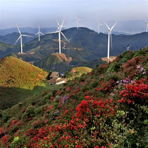 Multilateral Development Banks Need A Bolder Vision And Urgent Reform