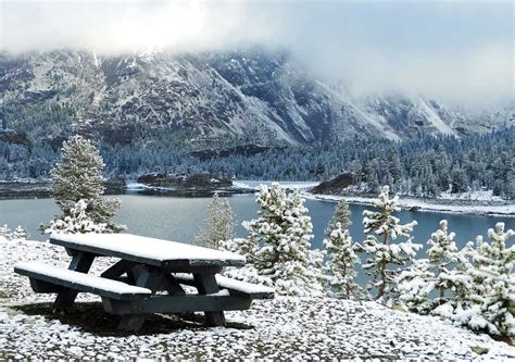 A Gentle Introduction To Premature Convergence