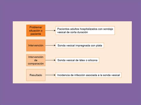 Frv Evidencias Modelo Pico