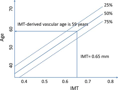 Example Of Calculating Vascular Age With IMT Download Scientific Diagram