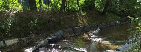 Floodplain And Stream Restoration Ecs