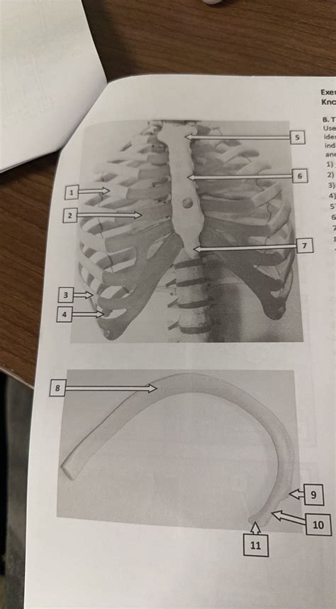 Lab 6 Pt 3 Diagram Quizlet