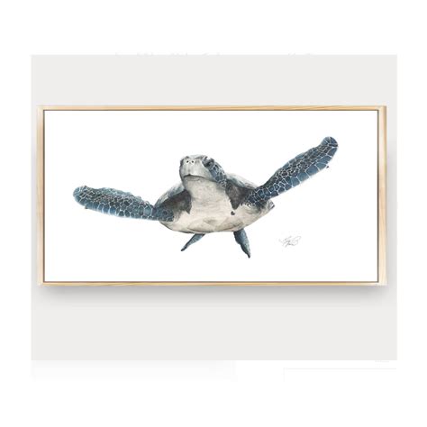 Green Sea Turtle Canvas Print — Molly Pearce Art
