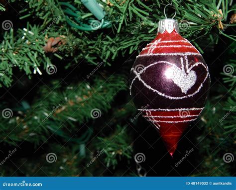 Teardrop Bulb Stock Photo Image Of Pear Fashion Island