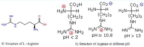Structure Of Arginine
