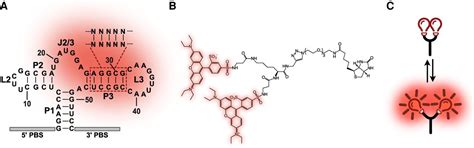 µivc Useq A Microfluidic Assisted High Throughput Functional Screening In Tandem With Next