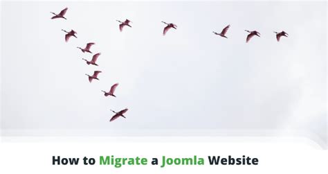How To Migrate A Joomla Website ScalaHosting Blog