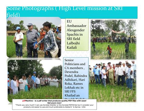 Sas Presentation Ppt