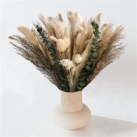 100pcs Pampas Grass Home Decor 157” Pompas Grass For Dried Floral