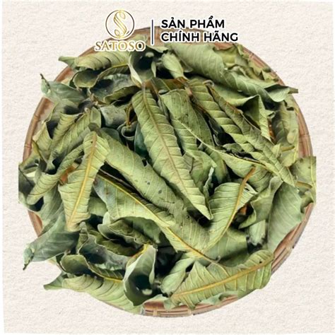 Lá ổi Khô Túi Lọc Thượng Hạng Satoso CỬa HÀng ThẢo DƯỢc Satoso