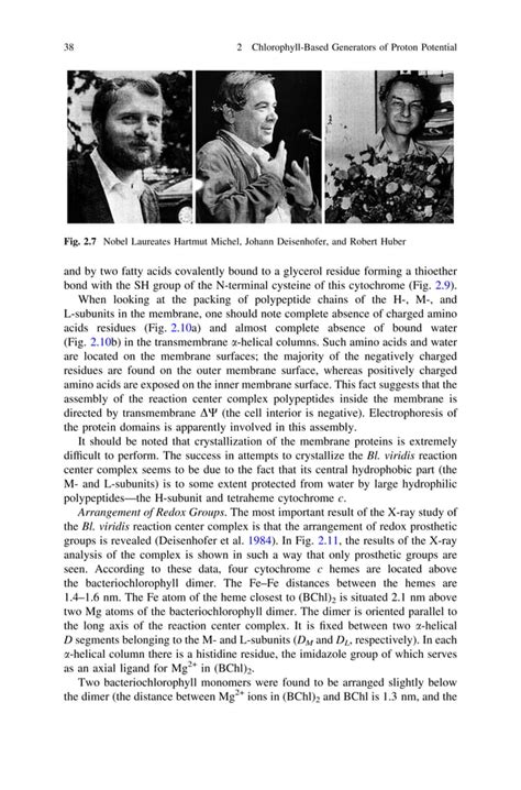 Principles Of Bioenergetics Pdf