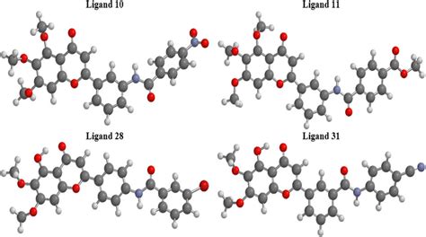 Optimized Geometric Structures Of The Investigated Ligands 10 11 28