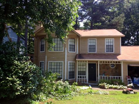 How To Trim And Prune Trees DIY Basics Safety Tips