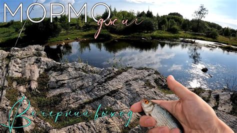 Мормышинг. Вечерний выход за мирной рыбой - YouTube