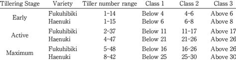 Class Boundaries For Models Based On Tiller Number Histogram Based