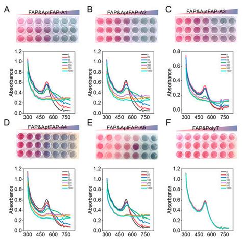 Selection And Identification Of An Ssdna Aptamer For Fibroblast Activation Protein