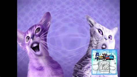 Preview 2 Numa Cat Effects (Sponsored By Preview 2 Baldi Effects) - YouTube
